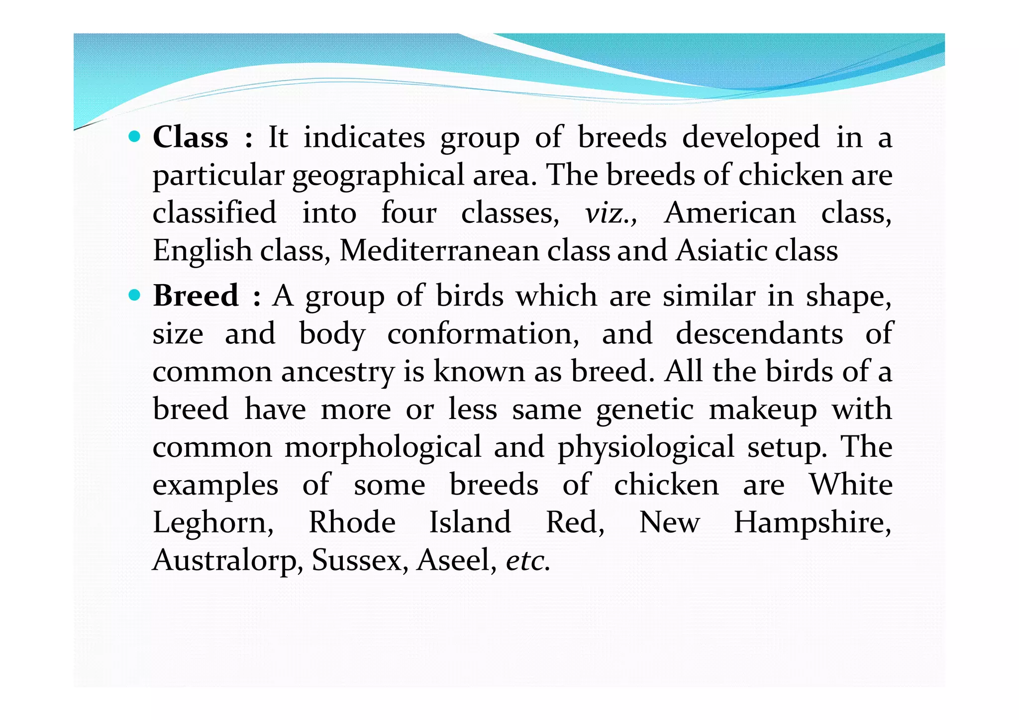 Identification of various breeds of poultry | PDF