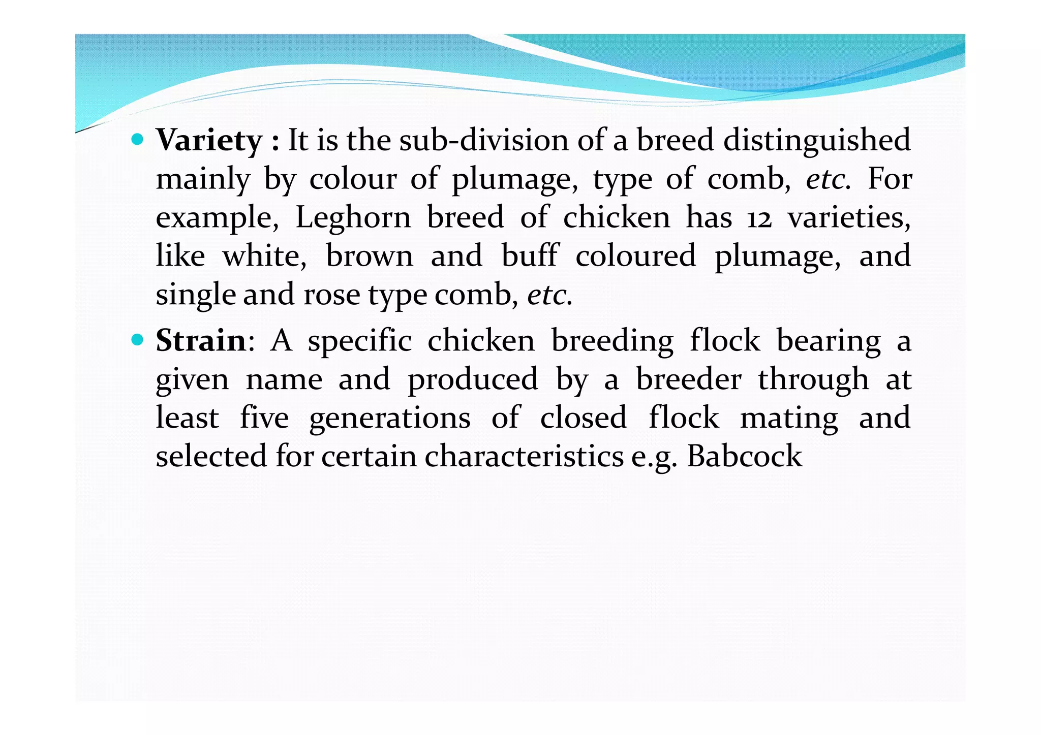 Identification of various breeds of poultry | PDF
