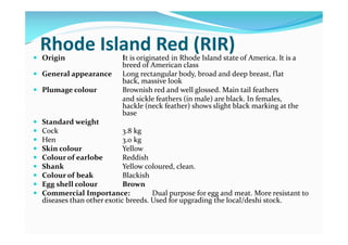 Identification of various breeds of poultry | PDF