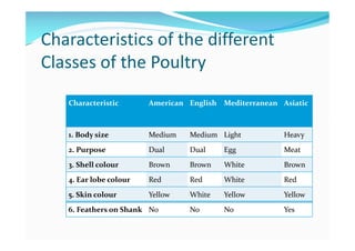 Identification of various breeds of poultry | PPT
