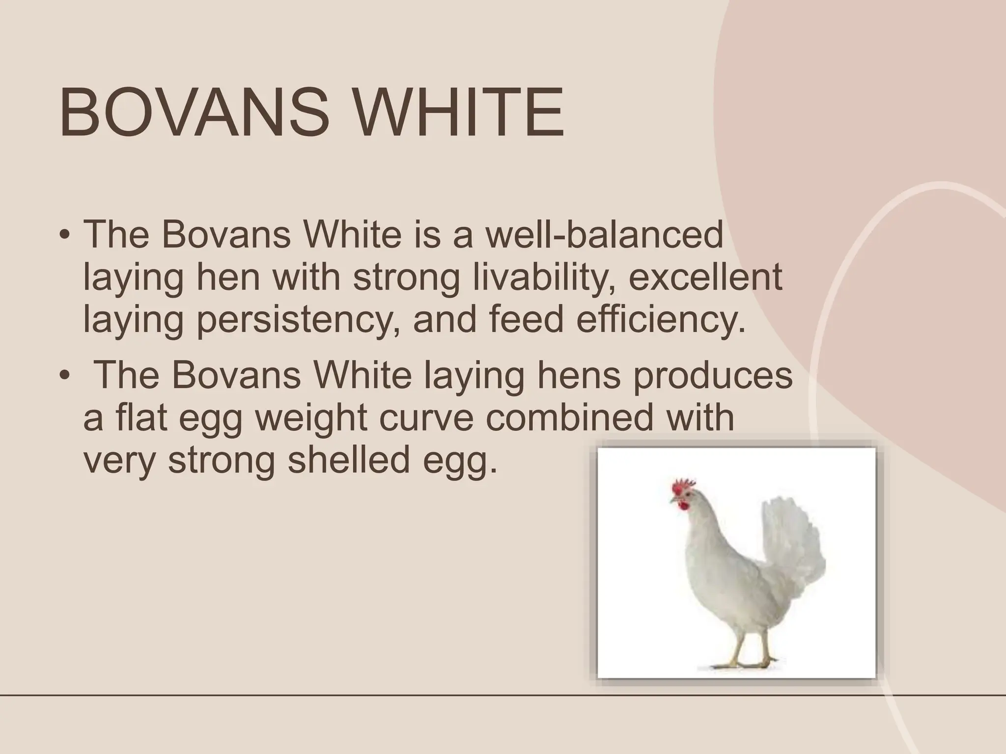 IDENTIFICATION OF VARIOUS LAYER STRAINS IN INDIA.pptx