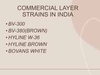 IDENTIFICATION OF VARIOUS LAYER STRAINS IN INDIA.pptx