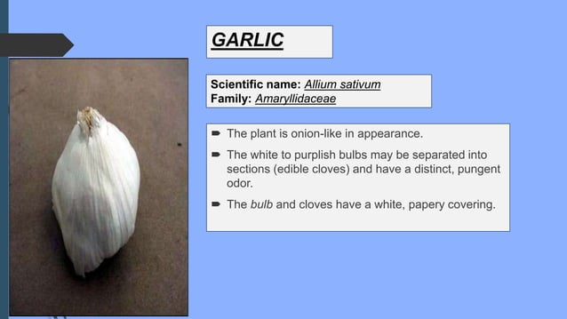 Identification of vegetable crops in Horticulture | PPTX