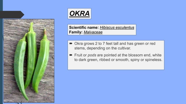 Identification of vegetable crops in Horticulture | PPTX