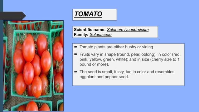 Identification of vegetable crops in Horticulture | PPT