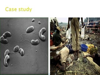 Identification of vibrio cholerae pathogenicity | PPT