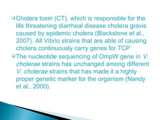 Identification of vibrio cholerae pathogenicity | PPT