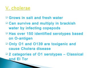 Identification of vibrio cholerae pathogenicity | PPT