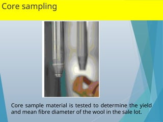 Identification of wool Pract class 1.ppt