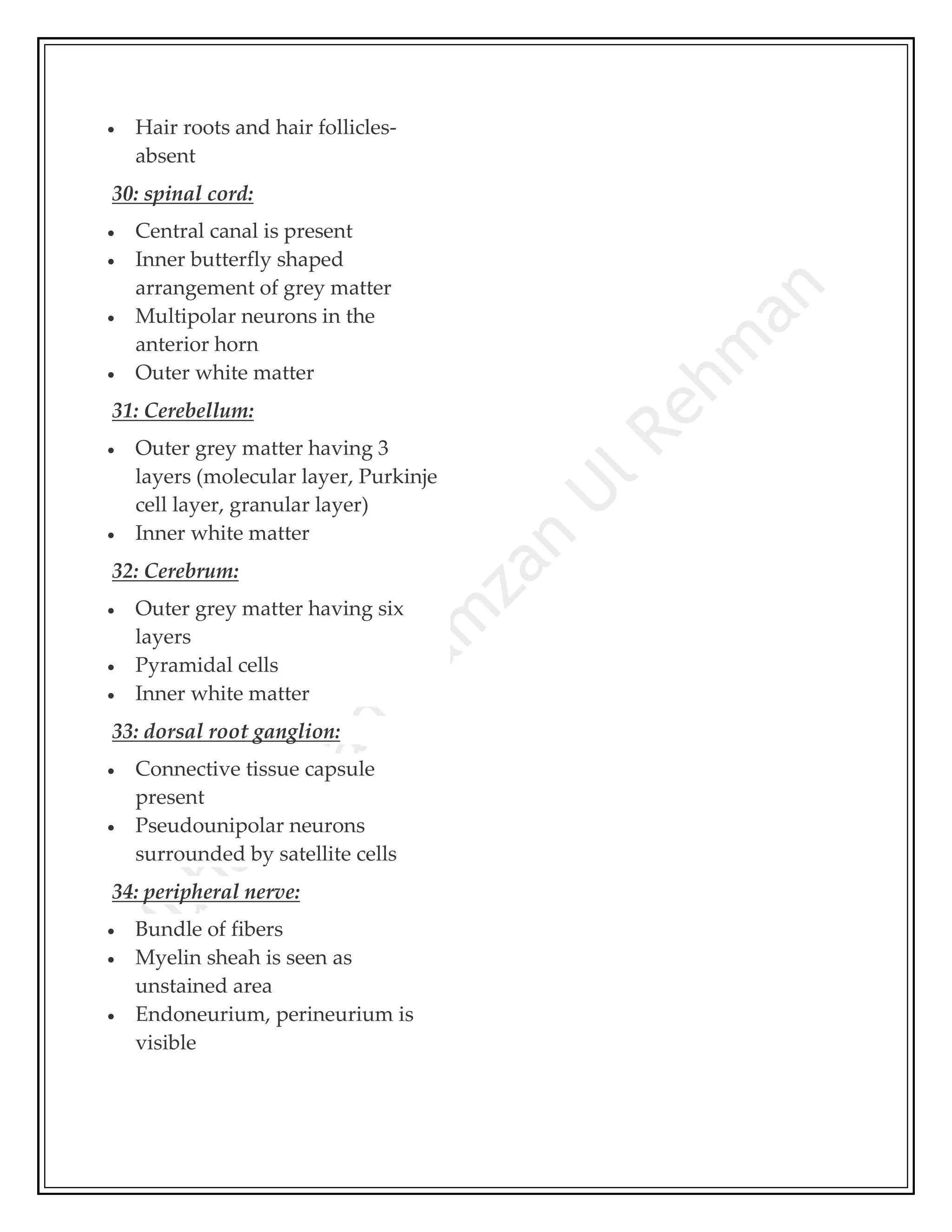 Identification points of general histology slides | DOCX