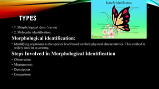 IdentiFICATION TO SPECIE LE..................................VEL1 (1).pptx