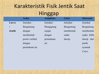 Identifikasi hitung-kepadatan-nyamuk | PPT