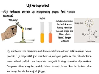Identifikasi asam amino dan protein | PPTX