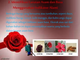 Identifikasi asam, basa dan garam | PPT
