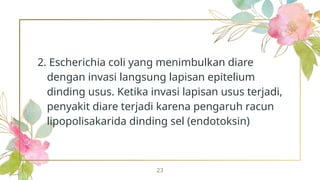 Infeksi penyakit Akibat bakteri Escherichia coli.pptx