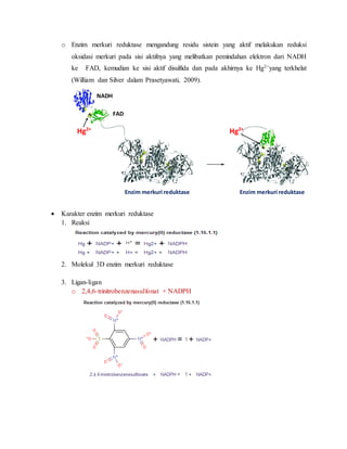 Identifikasi Gen mer A melalui metode komputasi Repaired | PDF