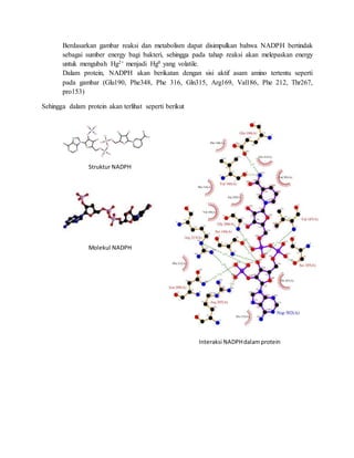 Identifikasi Gen mer A melalui metode komputasi Repaired | PDF