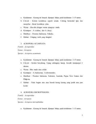 Identifikasi Karang dengan Coral Finder (Branching dan Non Branching ...