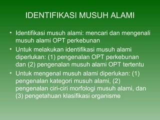 Identifikasi musuh alami | PPT