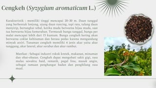 Identifikasi Tanaman Industri (kopi, coklat, teh, kelapa, cengkeh, kayu manis) | PPT