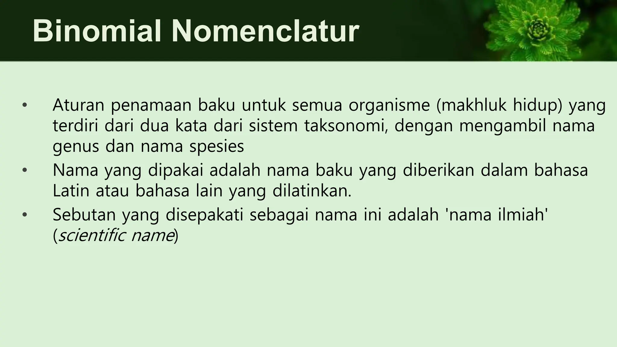 identifikasi, tata nama, klasifikasi.pptx