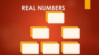 IYMS Math Presentation Identify and Classify Numbers.pptx