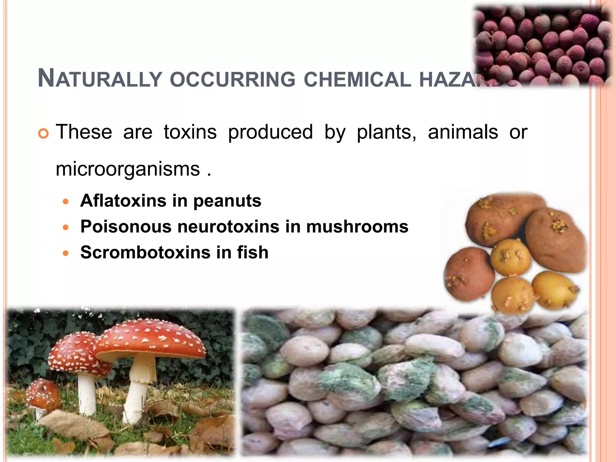 Identify and consider all possible hazards and control procedure | PPTX