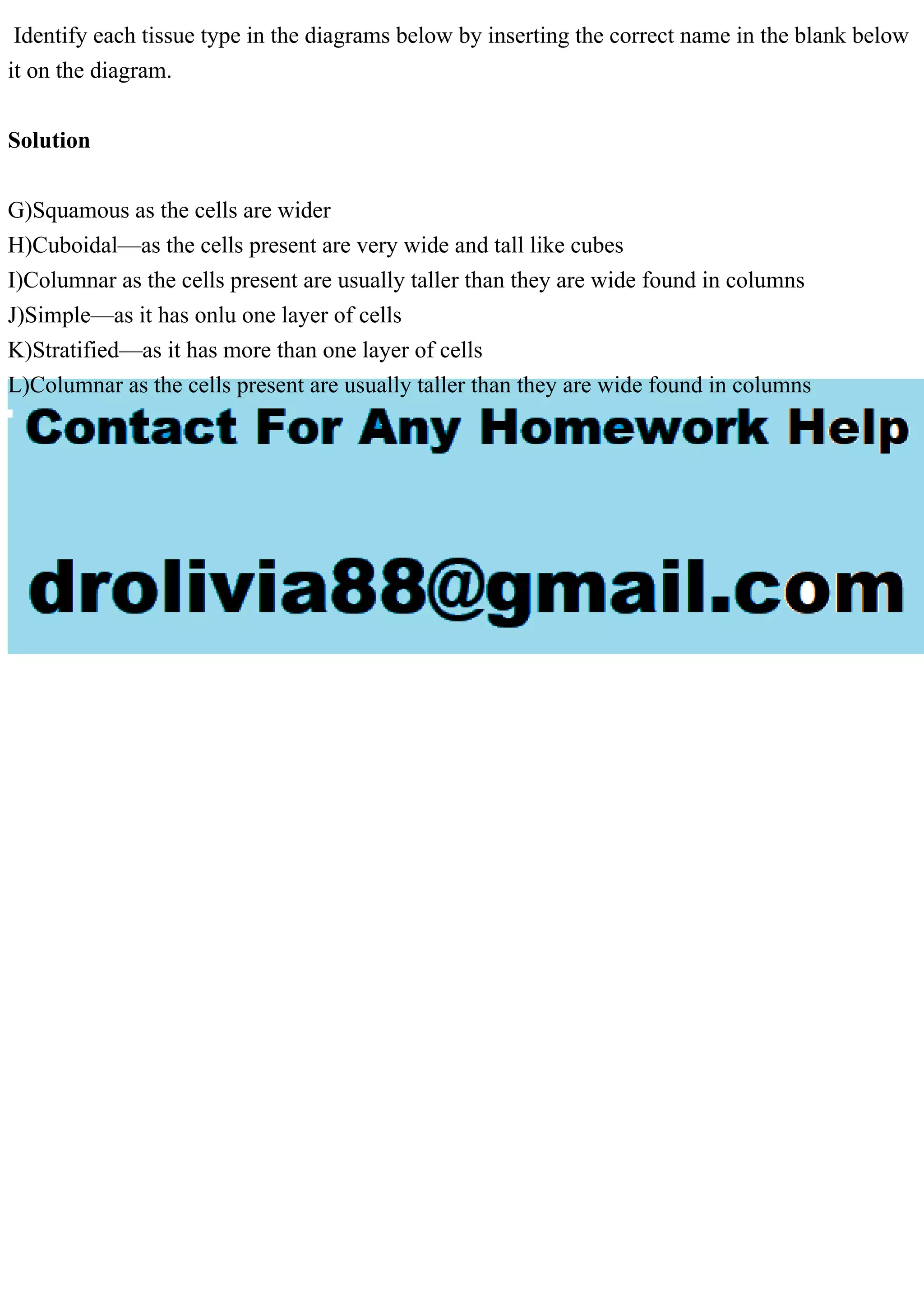 Identify each tissue type in the diagrams below by inserting the corr.pdf