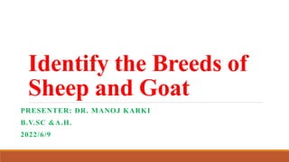 identify indigenous breed f sheep and goat.pptx