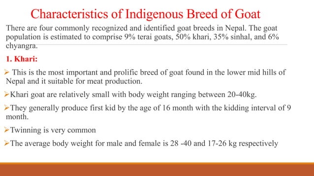 identify indigenous breed f sheep and goat.pptx