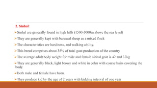 identify indigenous breed f sheep and goat.pptx