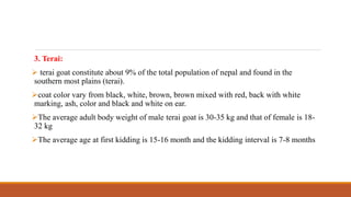 identify indigenous breed f sheep and goat.pptx