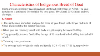 identify indigenous breed f sheep and goat.pptx