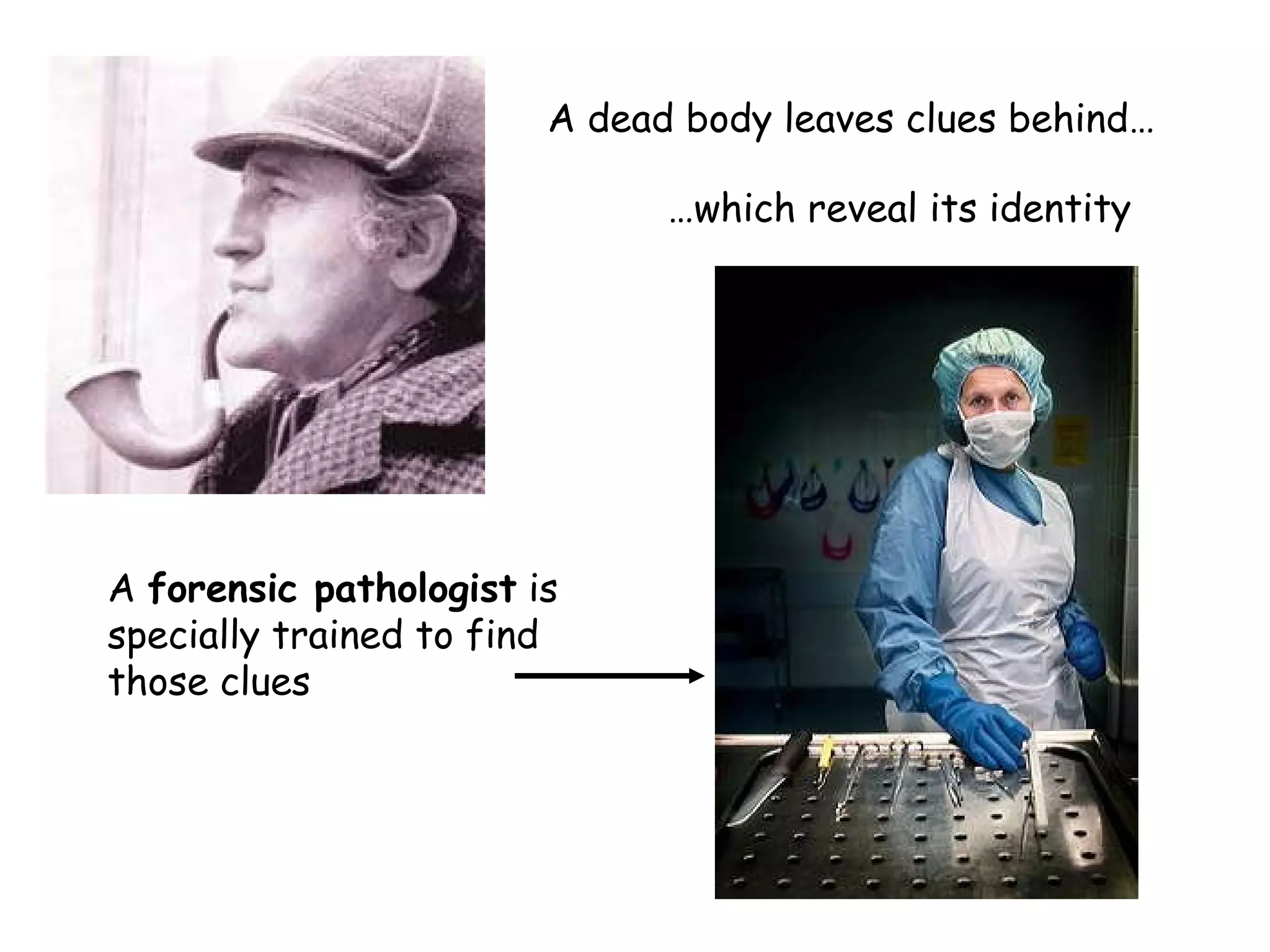 Identifying a dead body | PPT