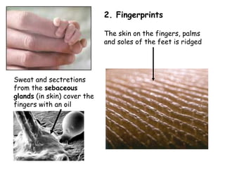 Identifying a dead body | PPT