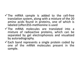 Identifying and studying the translational product | PPTX