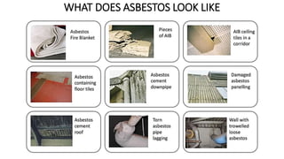 Identifying Asbestos.pptx