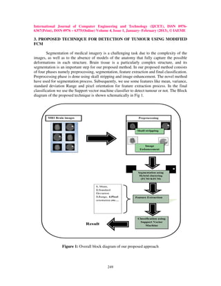 Identifying brain tumour from mri image using modified fcm and support | PDF
