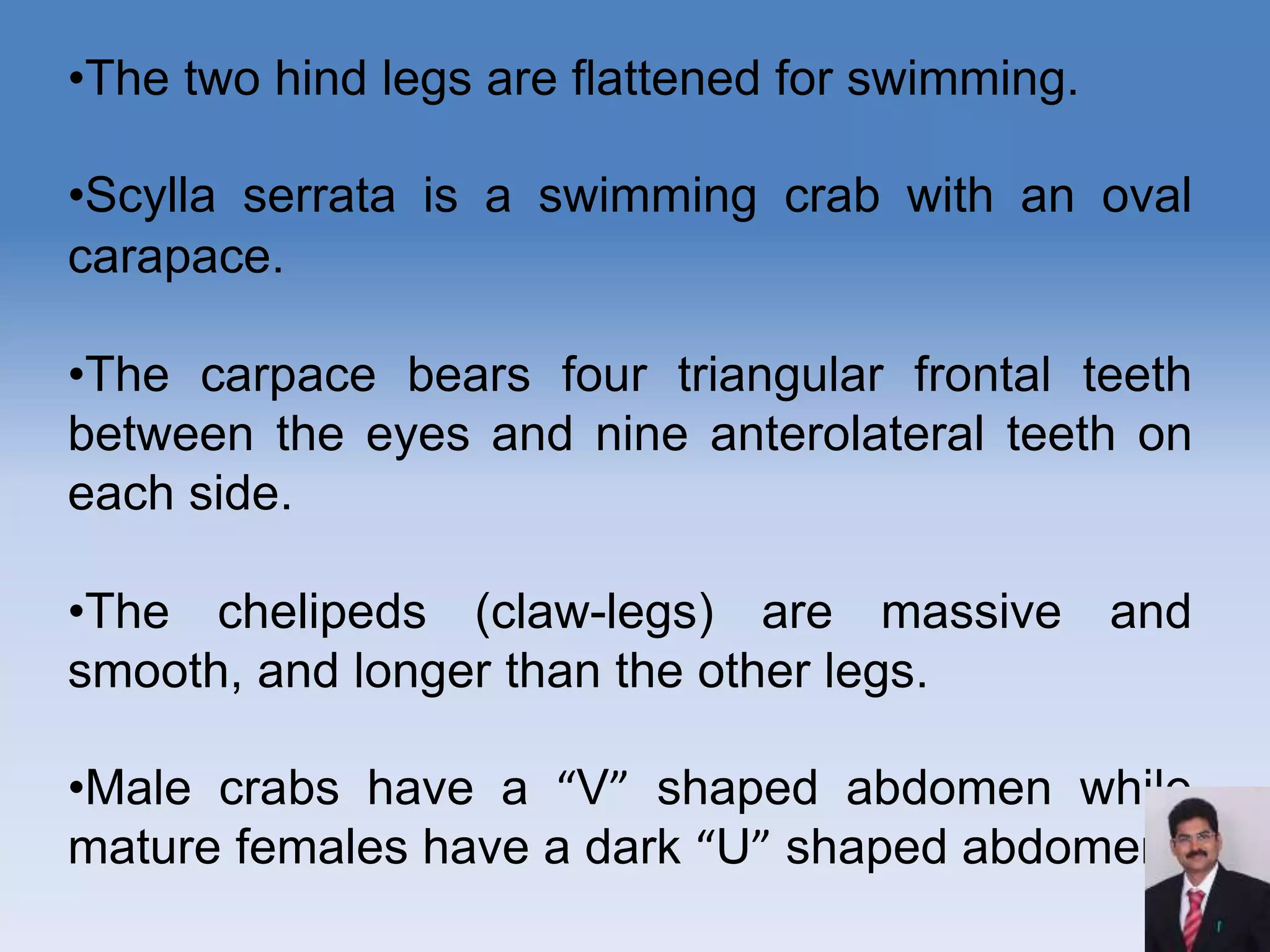 IDENTIFYING CHARACTERISTICS OF IMPORTANT EDIBLE CRUSTACEANS.pptx
