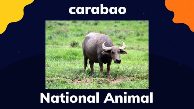 Identifying common objects according to size - longer and shorter.pdf