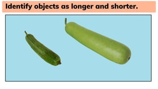 Identifying common objects according to size - longer and shorter.pdf