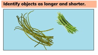 Identifying common objects according to size - longer and shorter.pdf