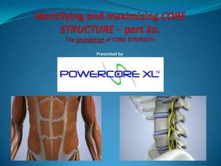 Identifying Core Structure | PPT