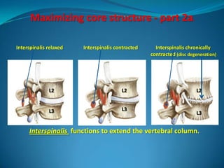 Identifying Core Structure | PPT