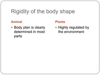 Identifying developmental genes dev't biology | PPT