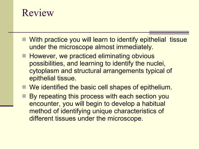 Identifying Epithelium | PPT