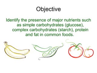Identifying Macromolecules In Food | PPT