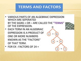 Identifying parts of algebraic expressions | PPTX