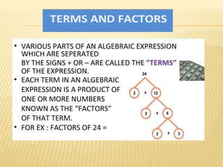 Identifying parts of algebraic expressions | PPTX