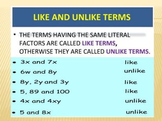 Identifying parts of algebraic expressions | PPTX